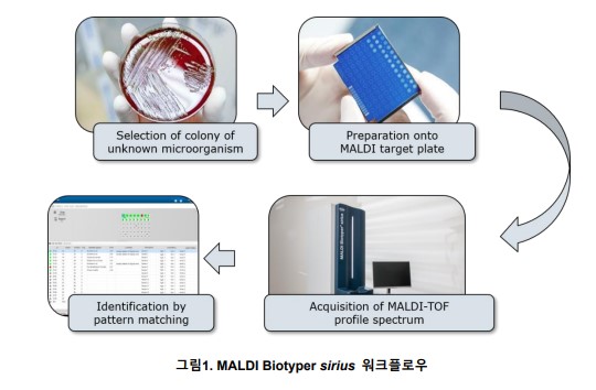 MALDI Biotyper - MALDI Biotyper sirius
