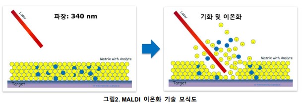 MALDI Biotyper - MALDI Biotyper sirius