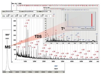 MALDI-TOF/TOF - autoflex® maX