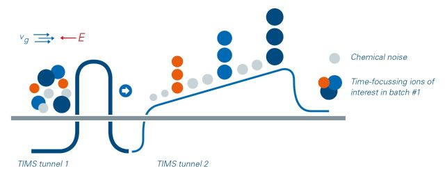 timsTOF - timsTOF SCP