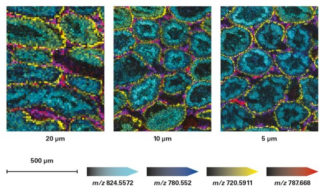 timsTOF - timsTOF fleX