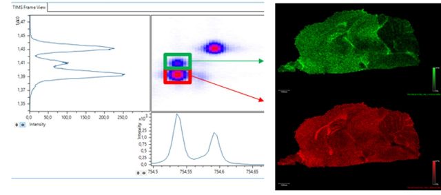 timsTOF - timsTOF fleX